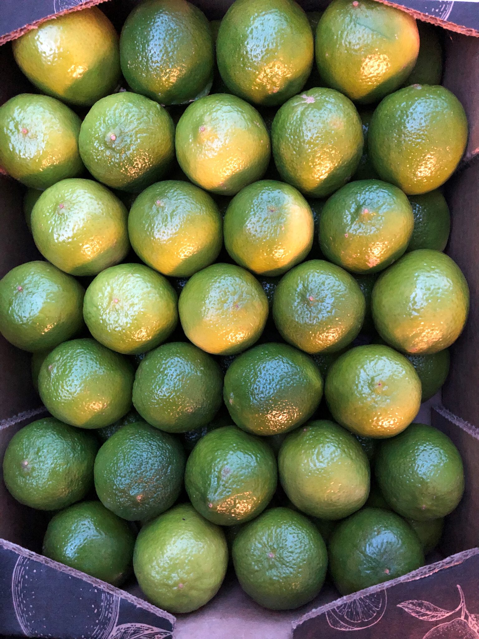 Obst - Sommer - Der Name bürgt für Qualität